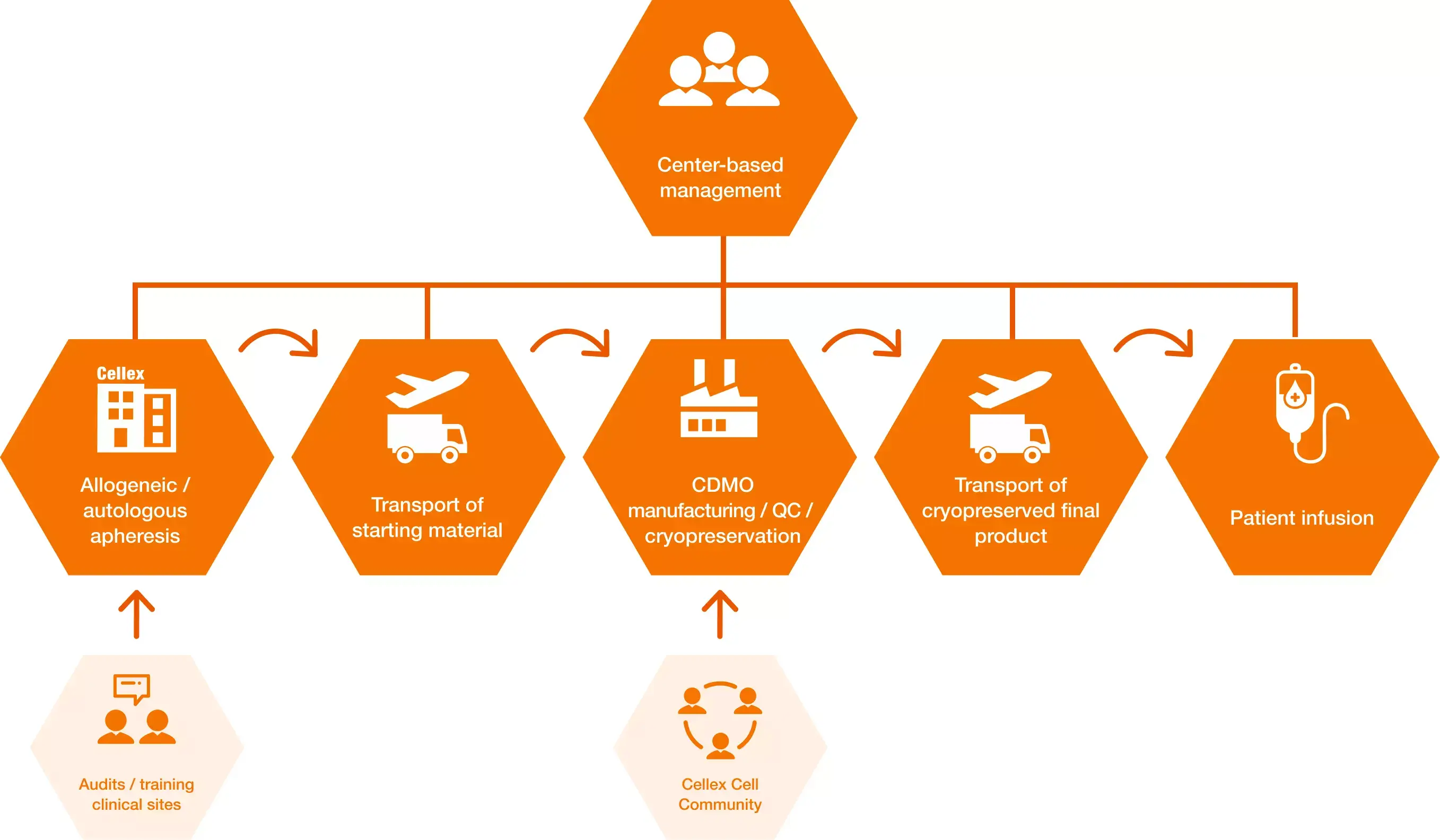 Cellex: Your Partner for manufacturing cellular products